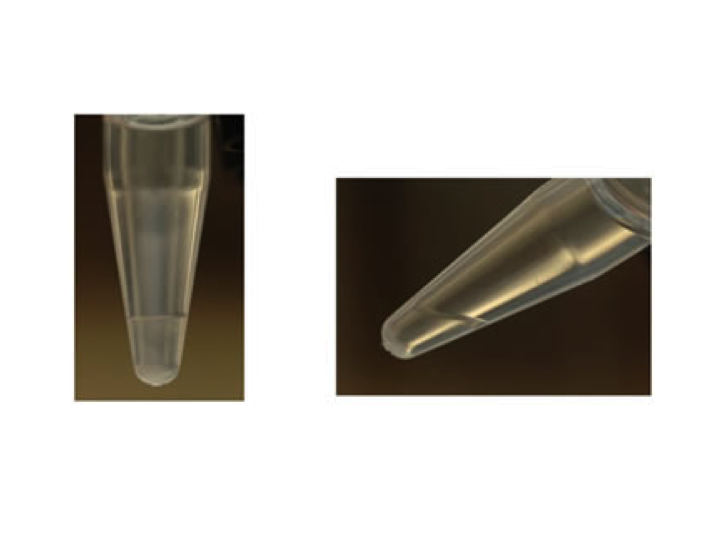 Gallery | Rosen Lab | UT Southwestern, Dallas, Texas