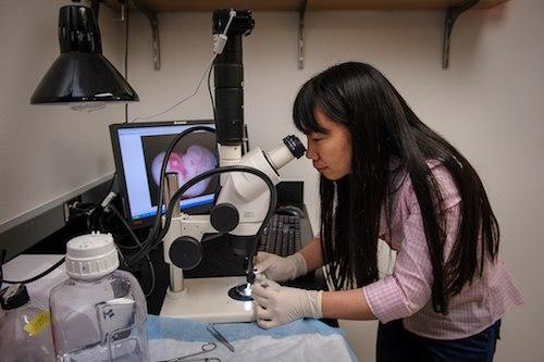 People | Burstein Lab | UT Southwestern, Dallas, Texas