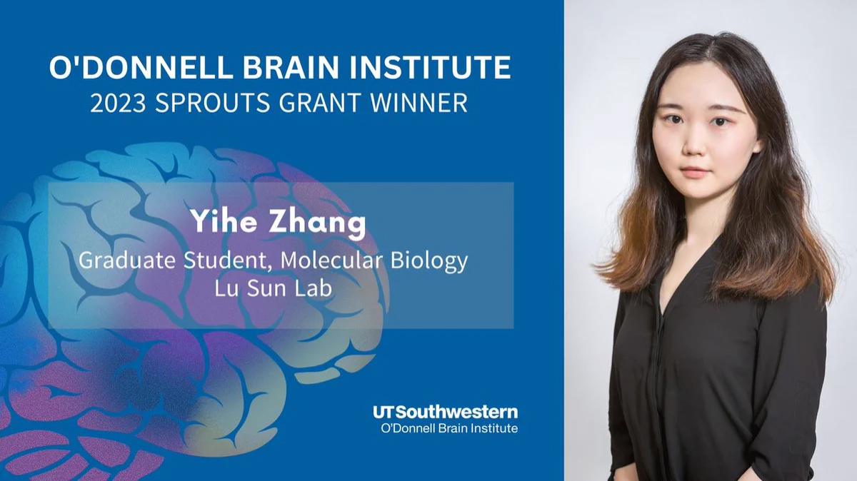 Lab Fun | Sun (Lu) Lab | UT Southwestern, Dallas, Texas