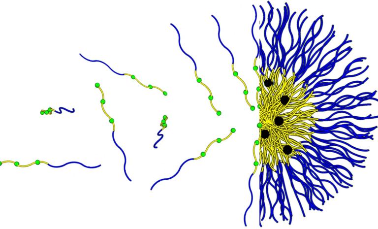 Research | UTSW Labs