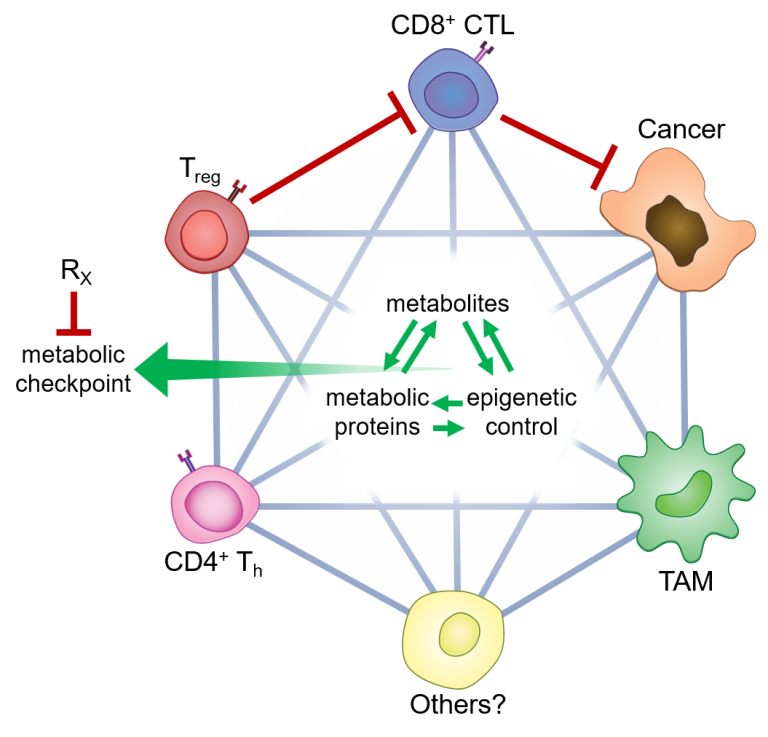 Research | UTSW Labs