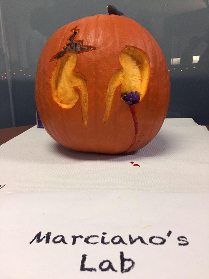 Lab Fun | UT Southwestern, Dallas, Texas