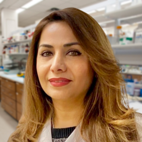 People | Rohatgi Lab | UT Southwestern, Dallas, Texas