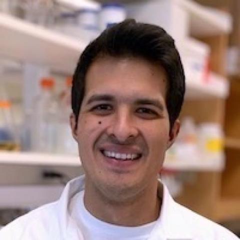 Lab Members | Bailey Lab | UT Southwestern, Dallas, Texas