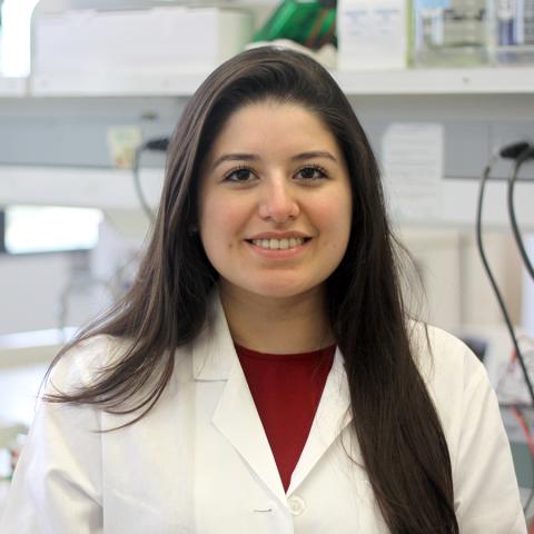 People | Sun (Lu) Lab | UT Southwestern, Dallas, Texas